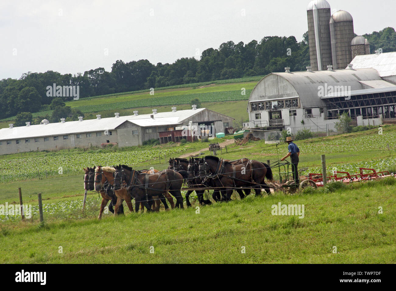 Amish farmers farm people hi-res stock photography and images - Alamy