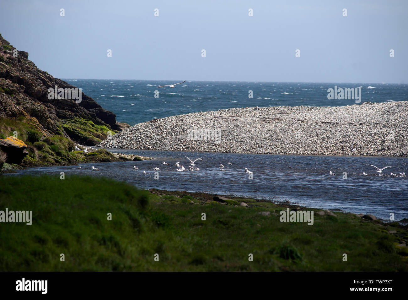 Shingle beach with man running hi-res stock photography and images - Alamy