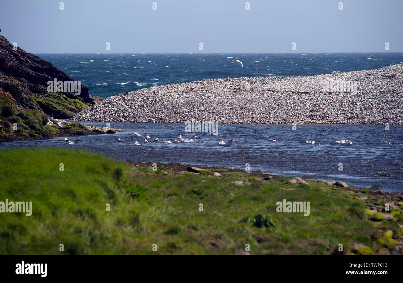 Shingle beach with man running hi-res stock photography and images - Alamy