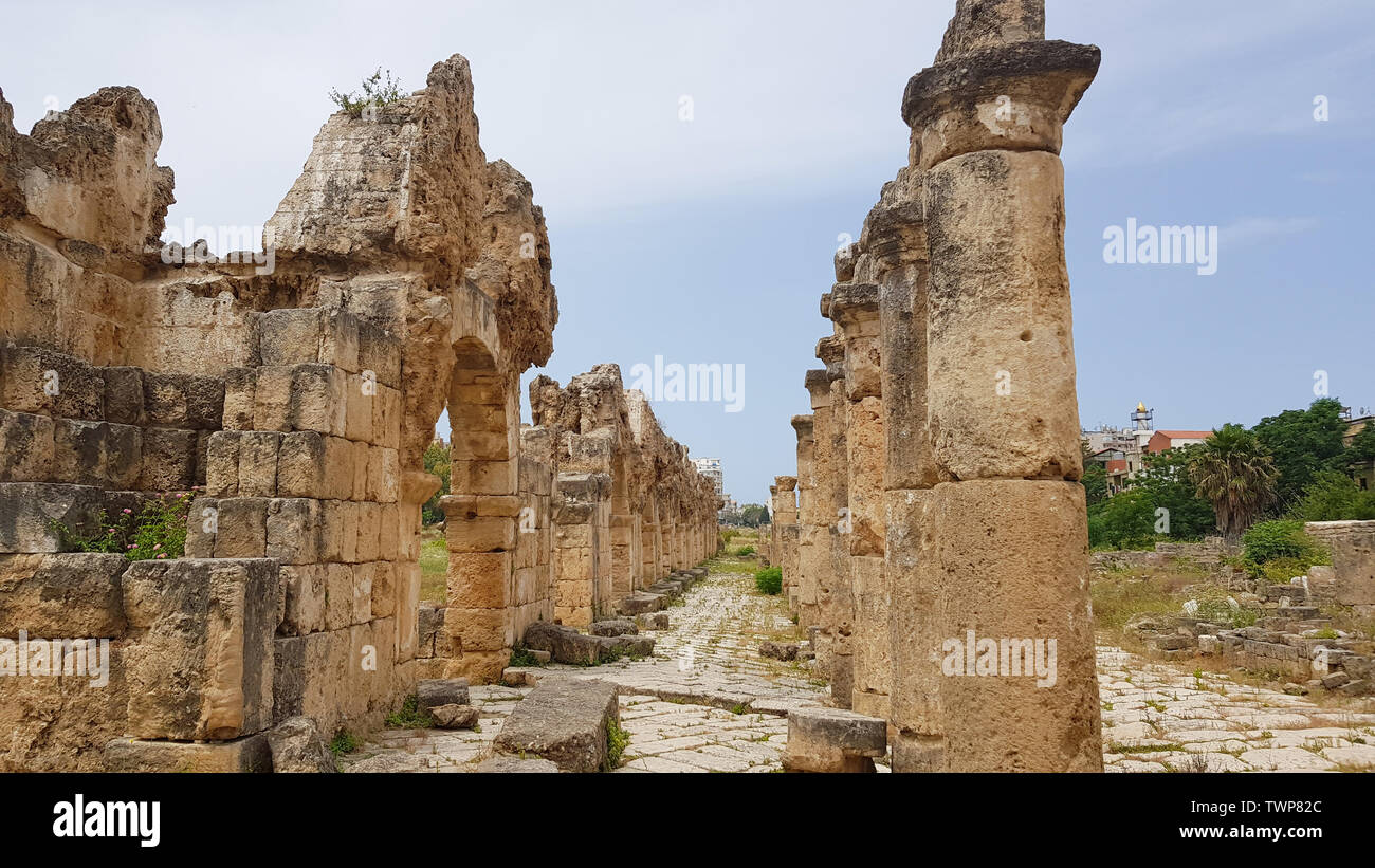 Tyrus High Resolution Stock Photography and Images - Alamy