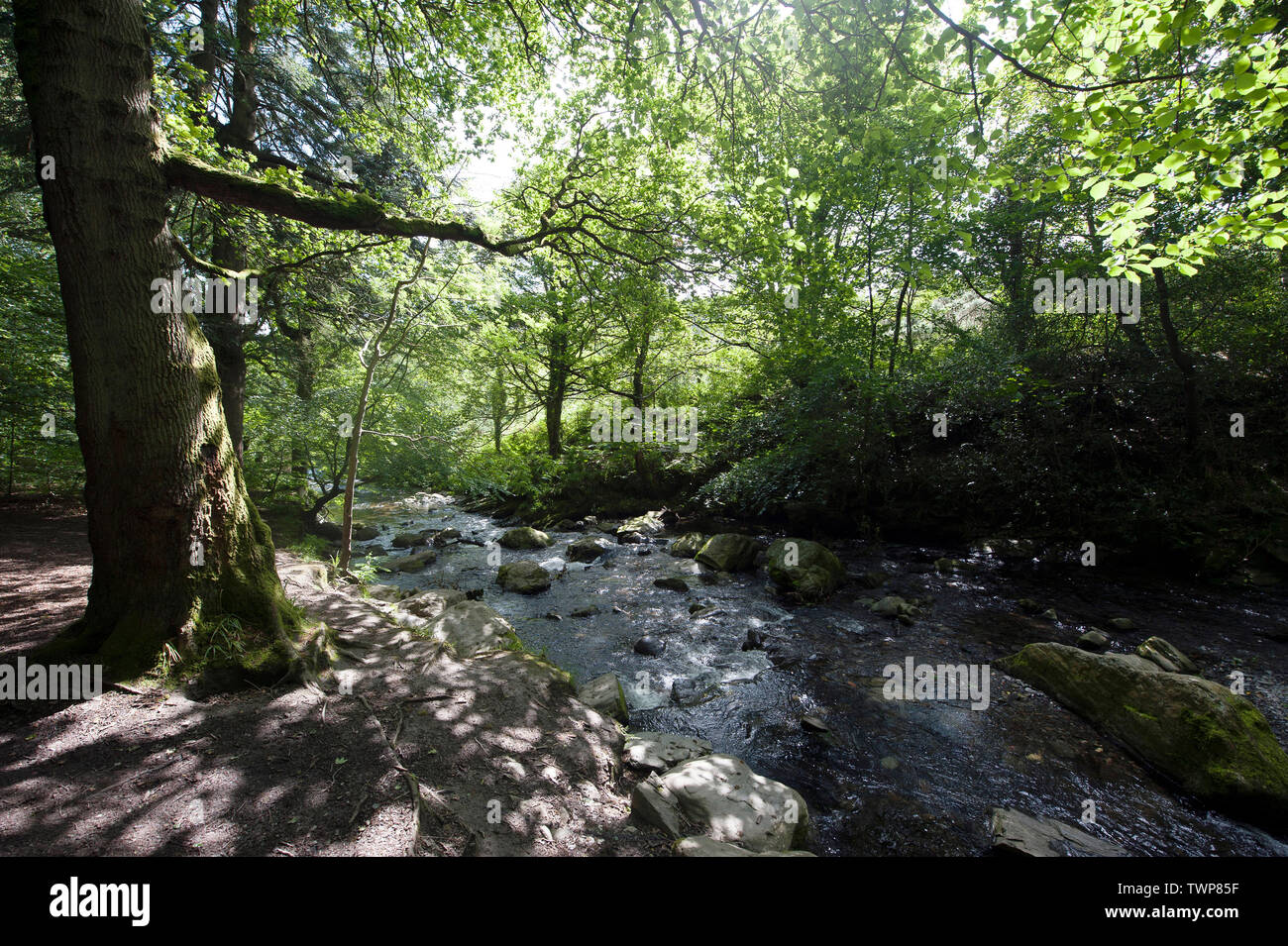 Quiet fishing spot on the Cornaa River, Cornaa northern Isle of Man ...