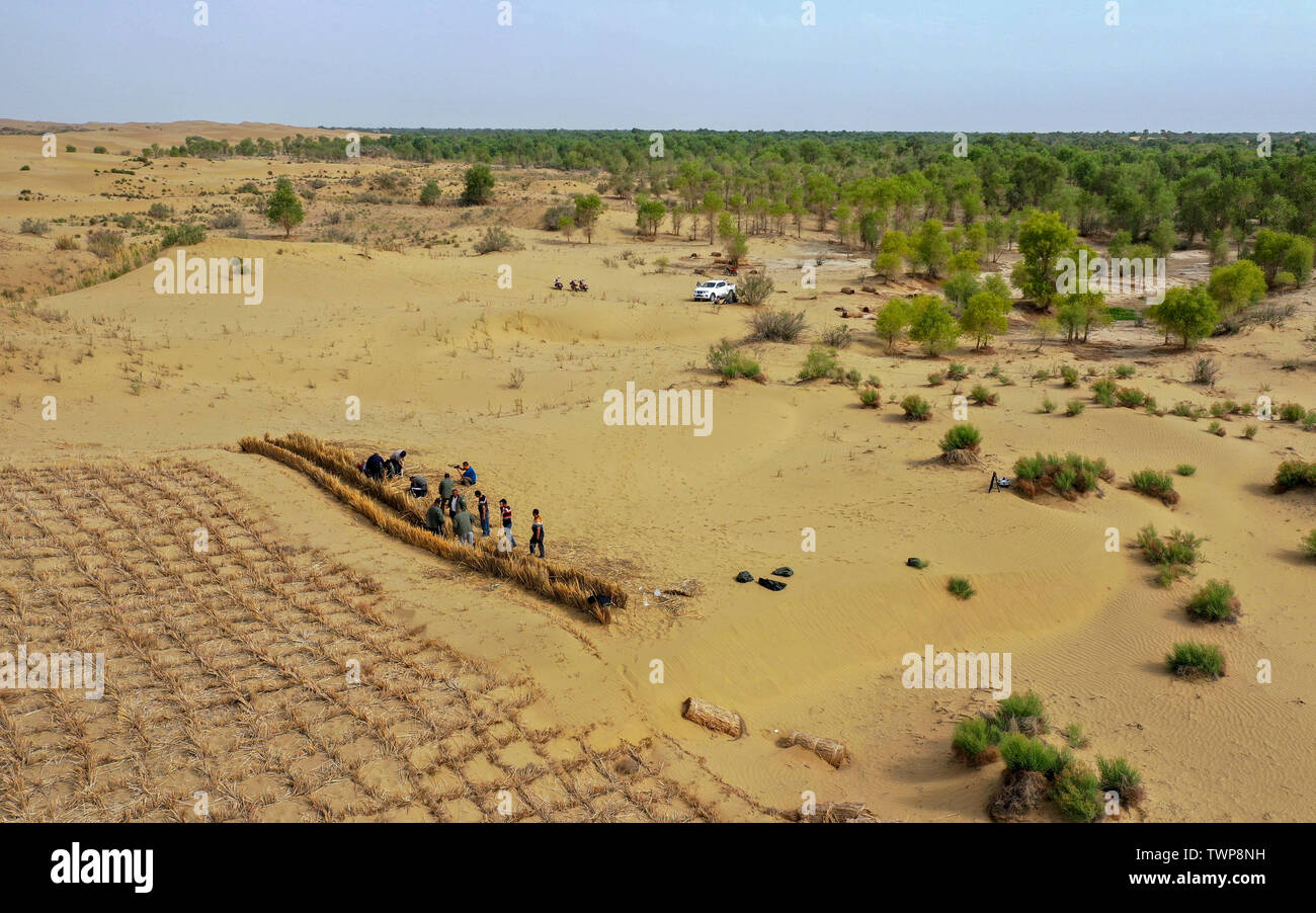 Yuli, China's Xinjiang Uygur Autonomous Region. 20th June, 2019. Staff ...