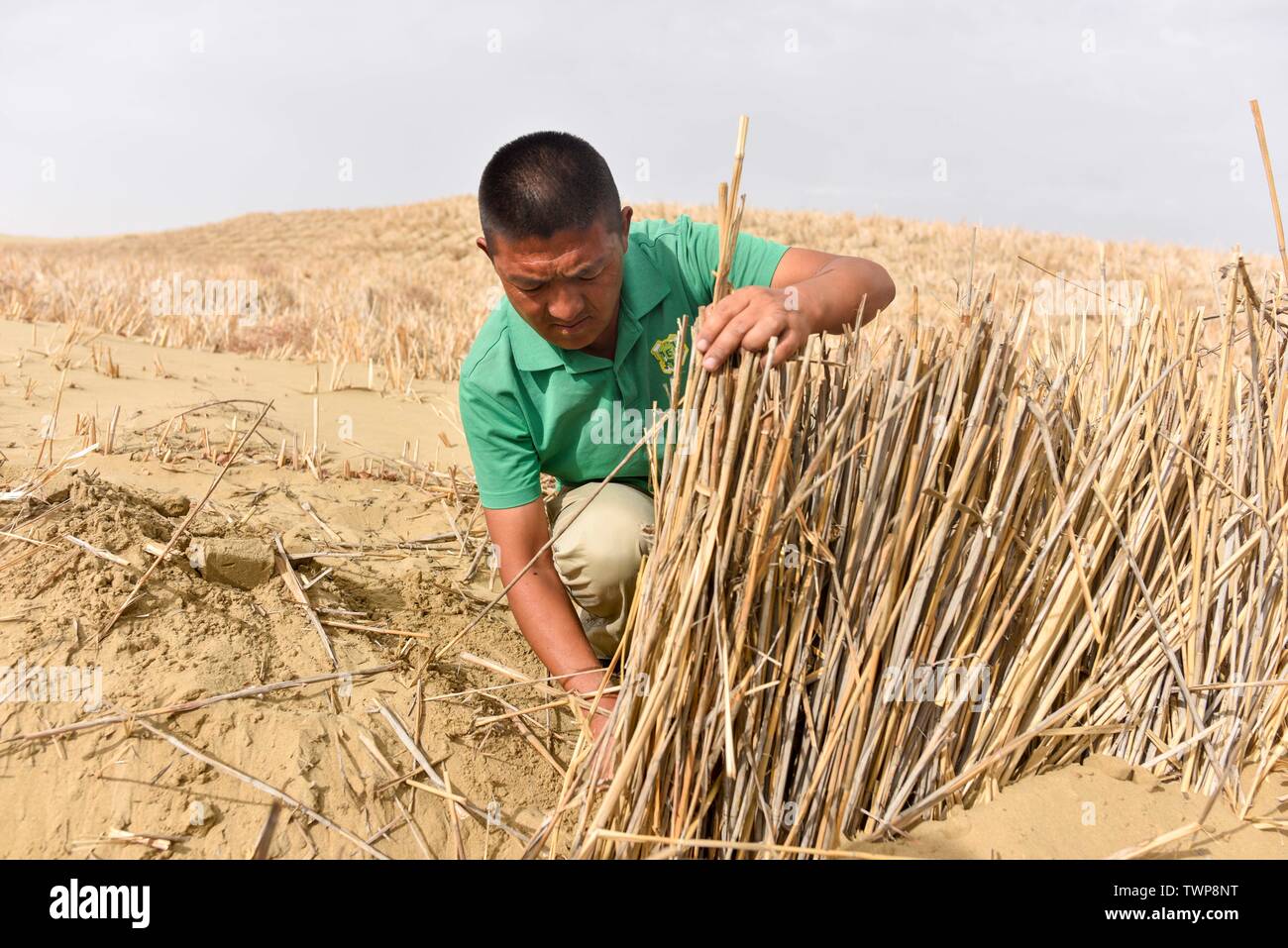Yuli, China's Xinjiang Uygur Autonomous Region. 20th June, 2019. A ...