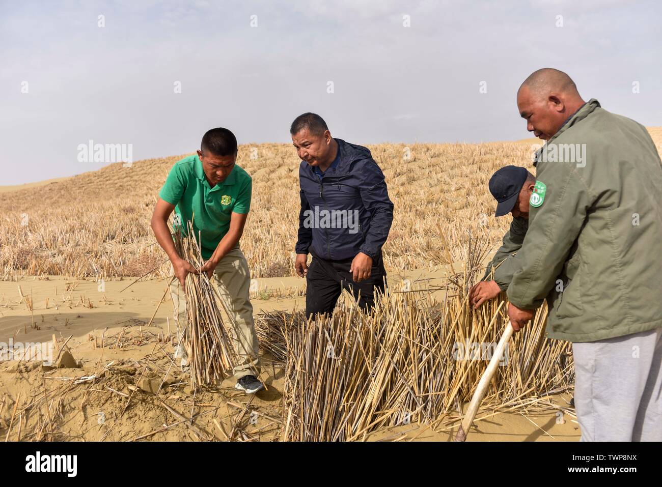 Yuli Chinas Xinjiang Uygur Autonomous High Resolution Stock Photography ...