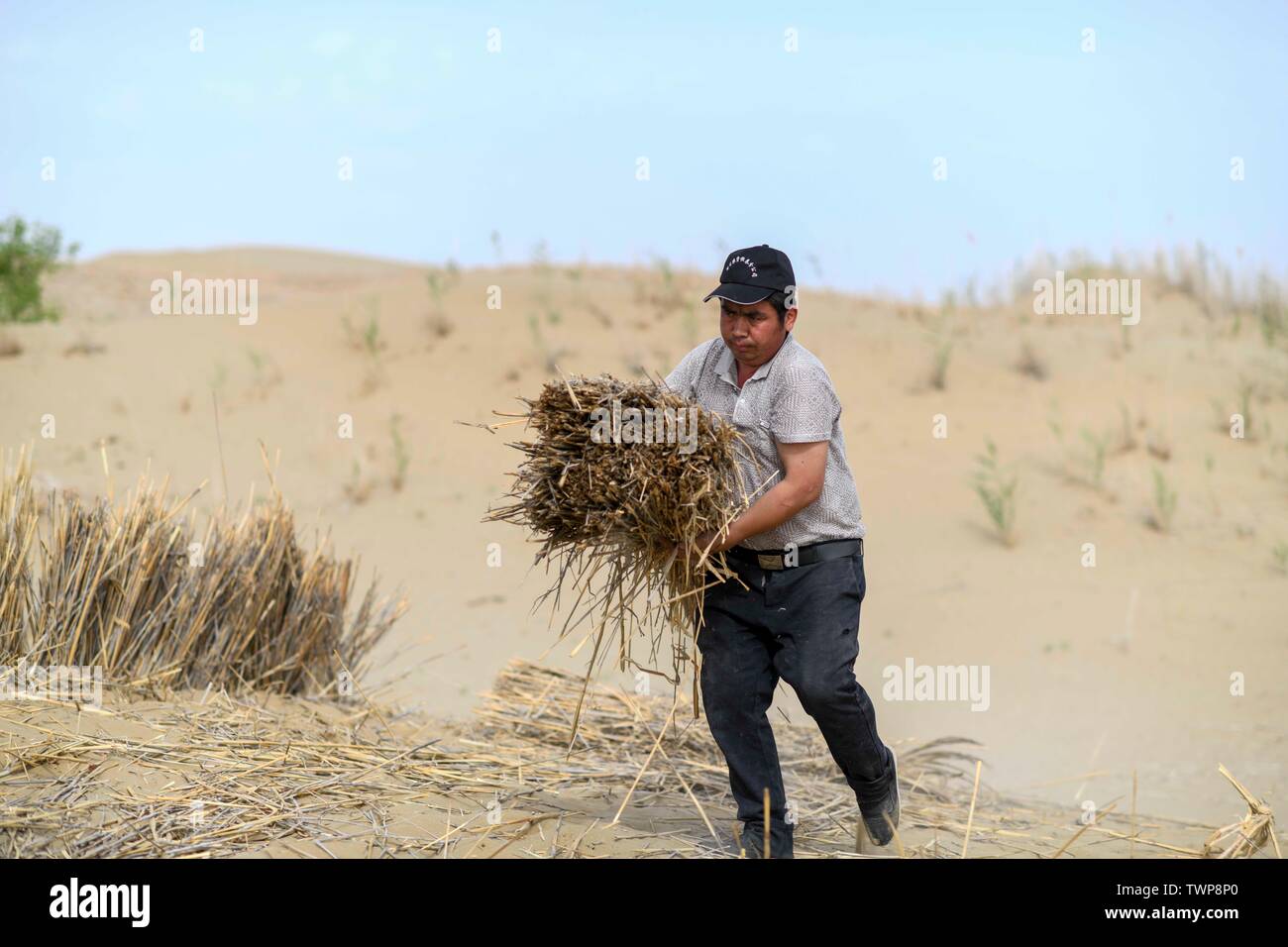 Yuli, China's Xinjiang Uygur Autonomous Region. 20th June, 2019. A ...