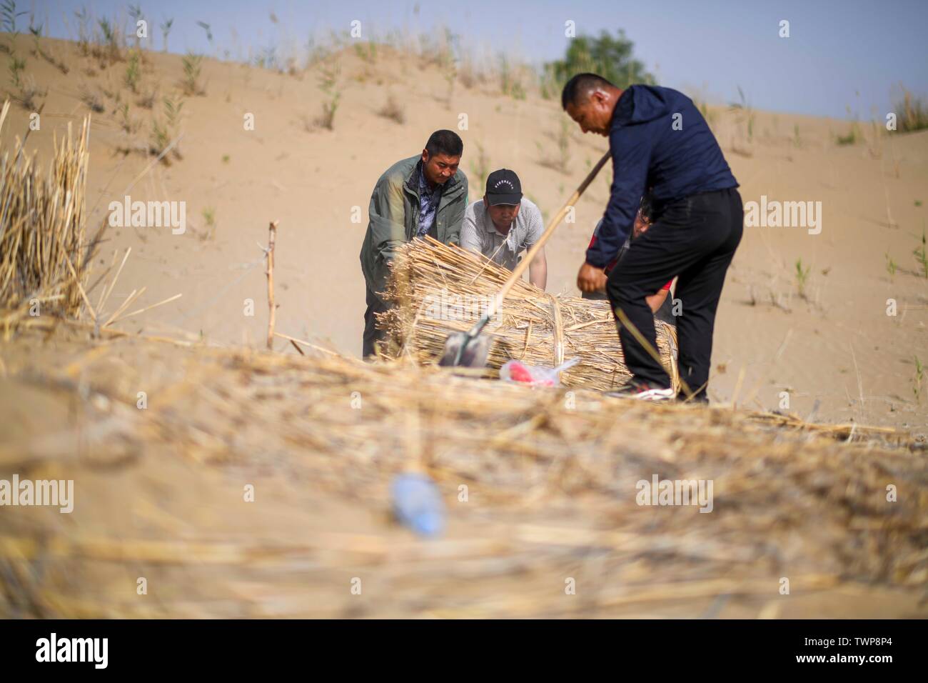 Yuli, China's Xinjiang Uygur Autonomous Region. 20th June, 2019. Staff ...
