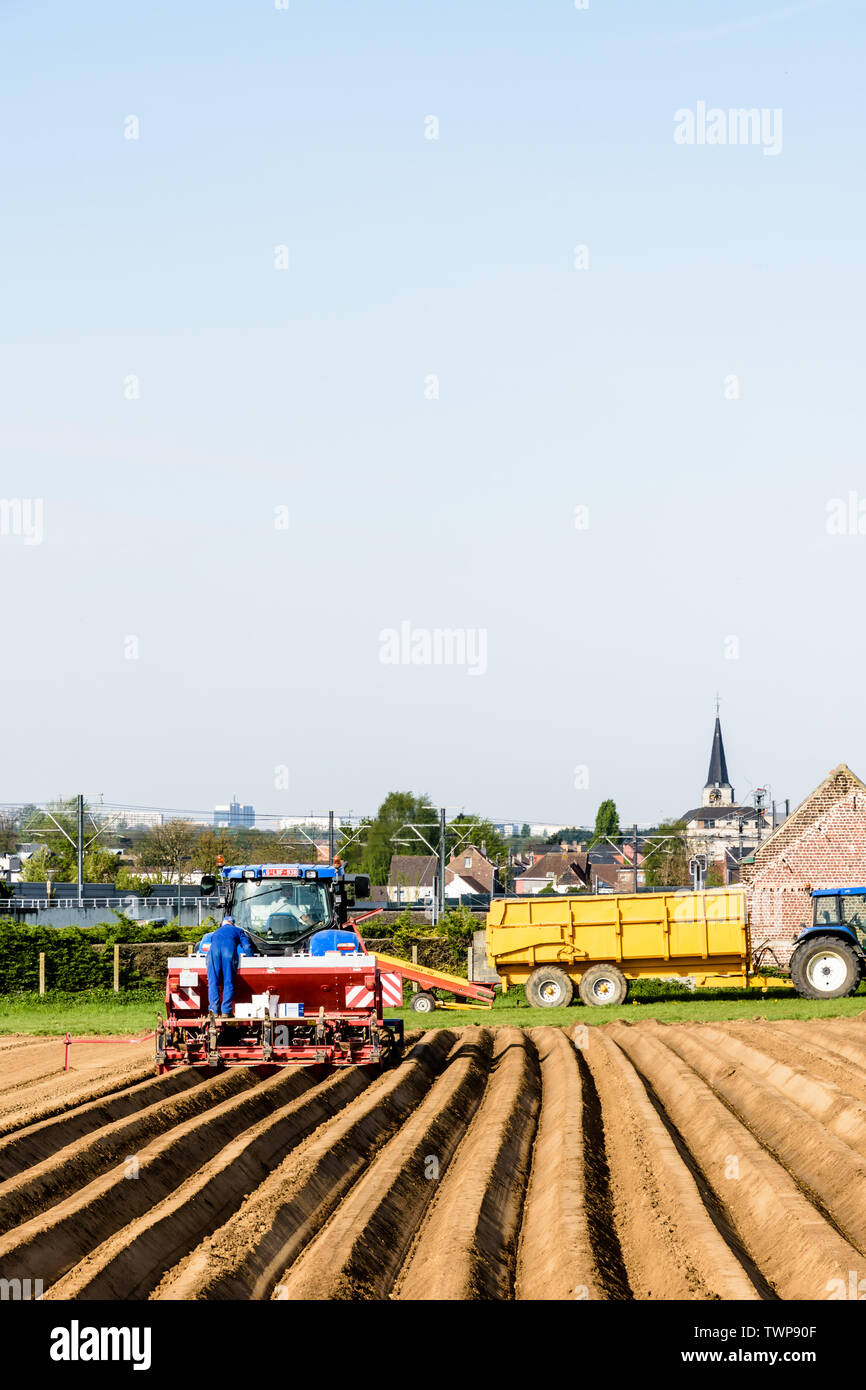 Potato planter hi-res stock photography and images - Alamy