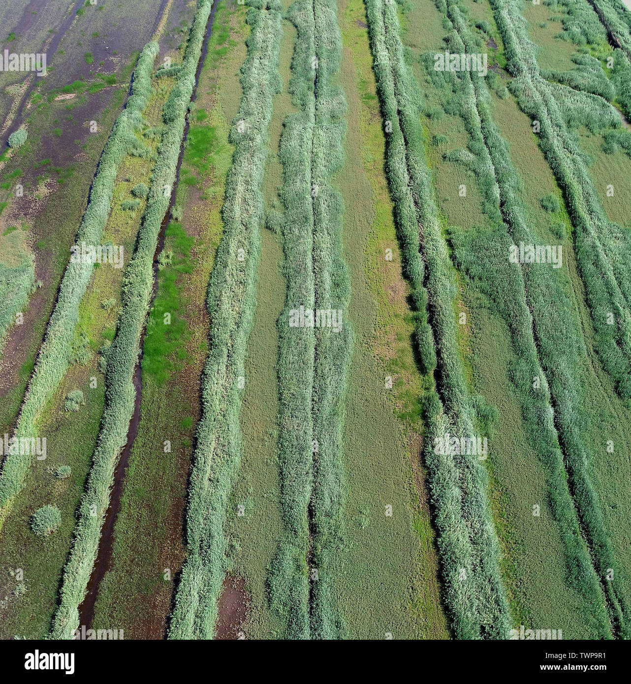 Tianjin. 22nd June, 2019. Aerial photo taken on June 22, 2019 shows ...
