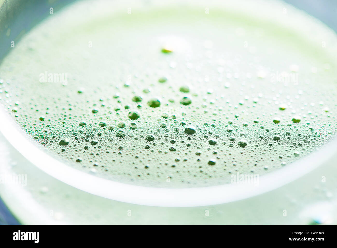 Matcha tea foam macro photography. Traditional drink close-up Stock ...