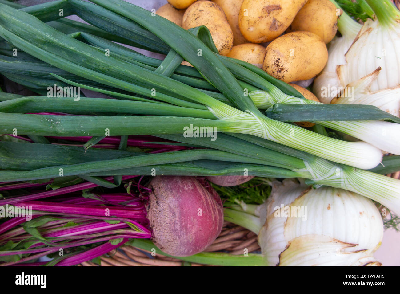 A selection of organic vegetables, straight from the garden Stock Photo ...