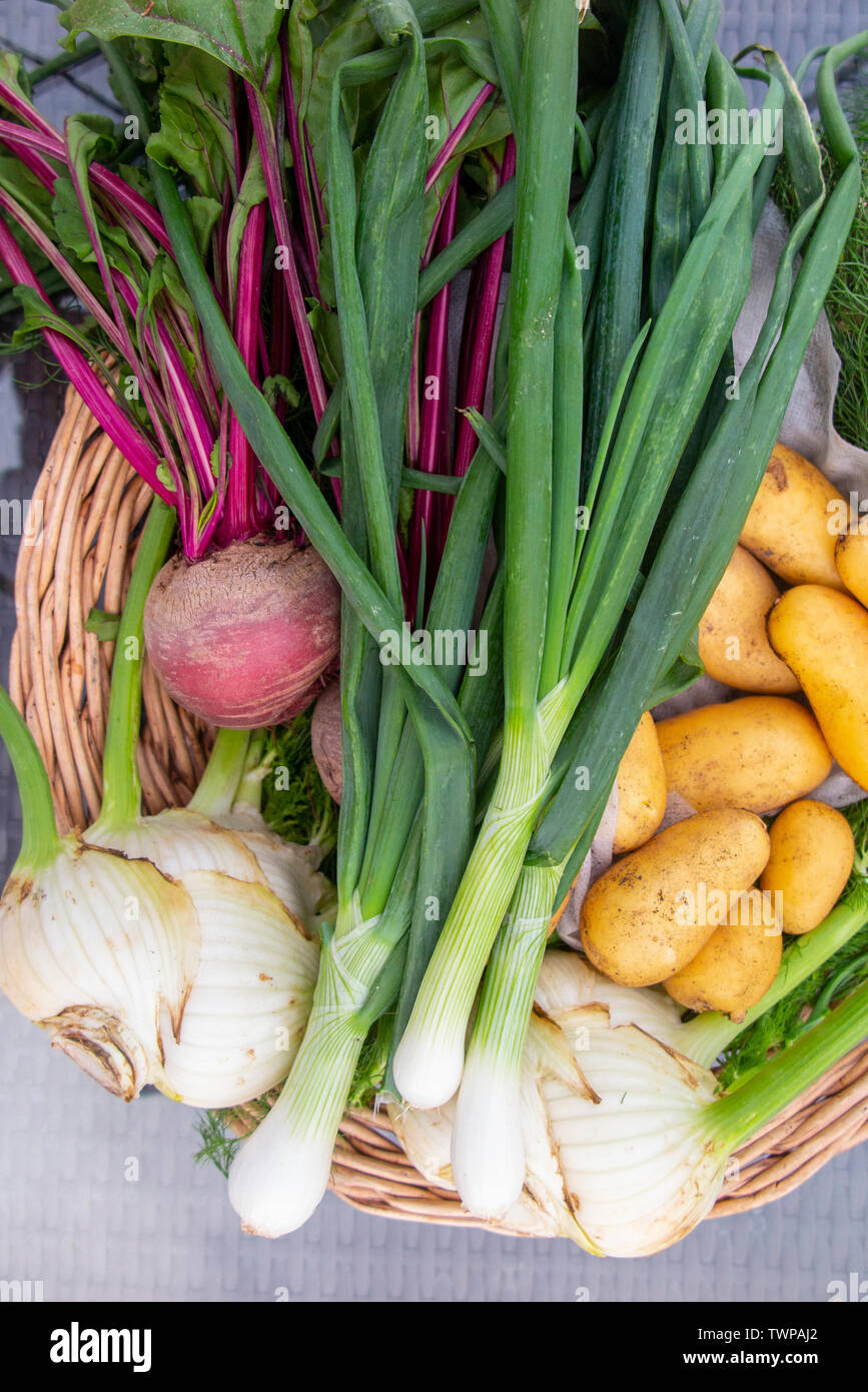 Vegetables from a small garden hi-res stock photography and images - Alamy