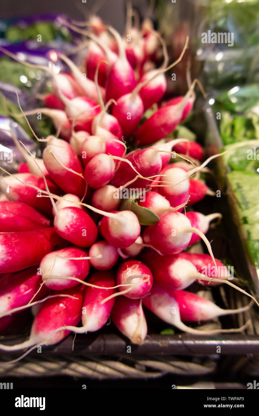 A bunch of organic radishes straight from the garden Stock Photo - Alamy