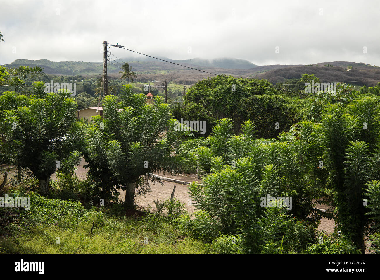 The old Progreso hacienda was an outstanding example of both, an ...