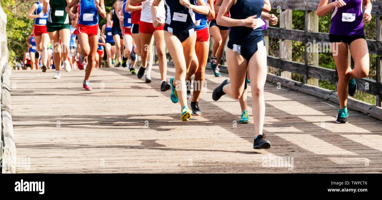 Many runners in a high school girls cross country race are running over ...