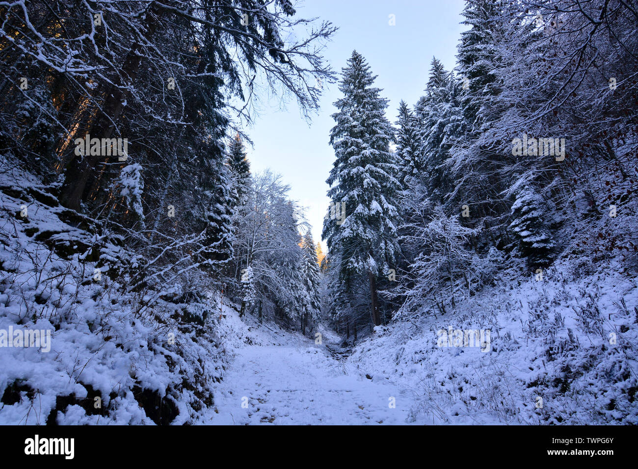 Andes venezuela snow hi-res stock photography and images - Alamy