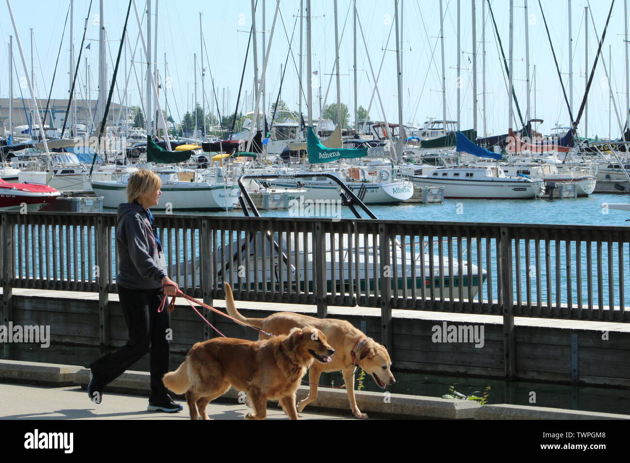 Woman enjoying the fine June morning with her two dogs by a Lake ...