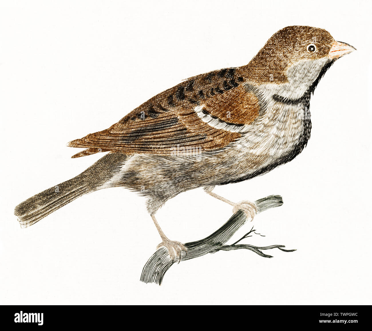 Retro vintage old historic hi-res stock photography and images - Alamy