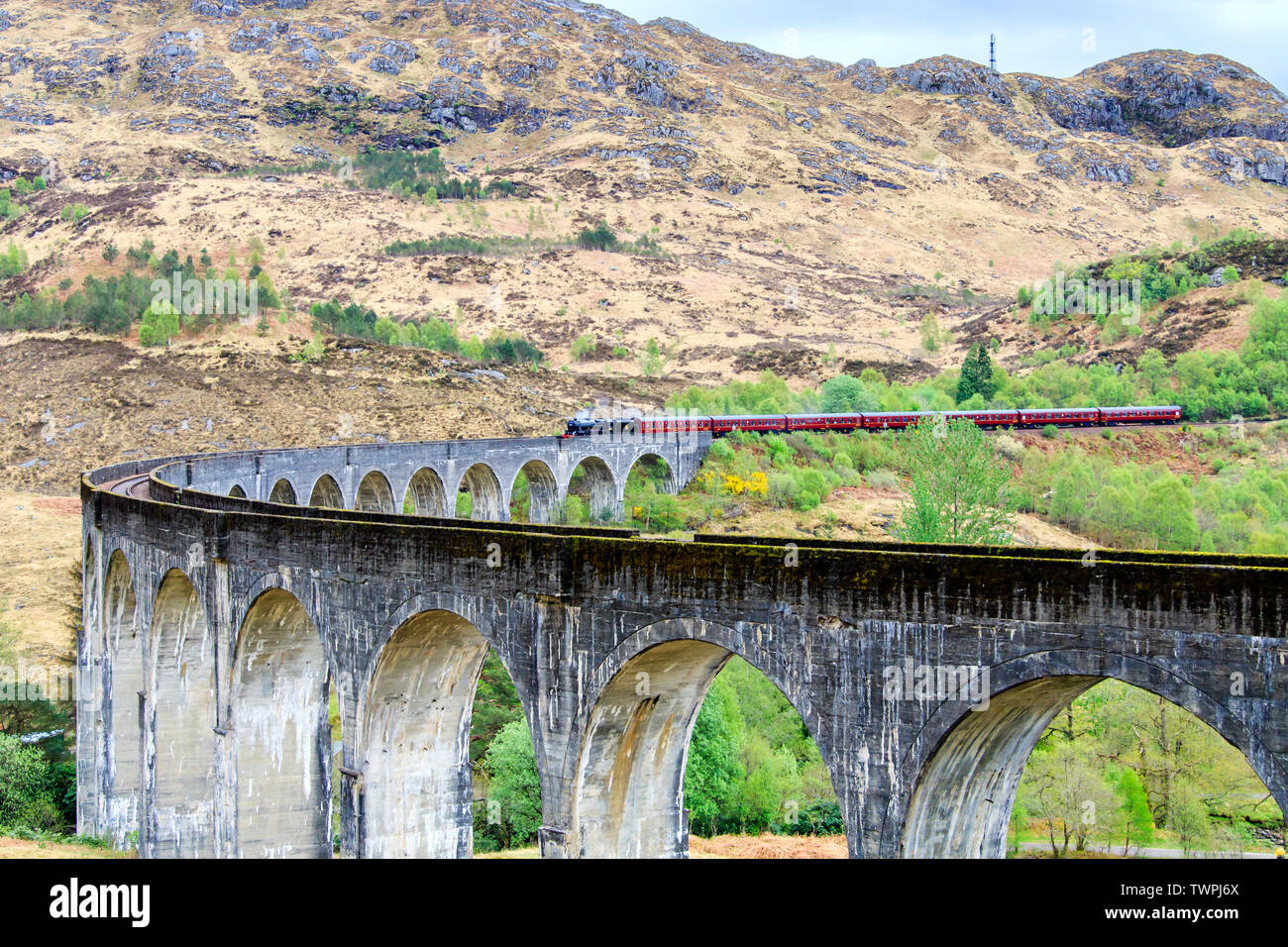 Jacobite steam Train crossing the Glenfinnan viaduct Stock Photo - Alamy