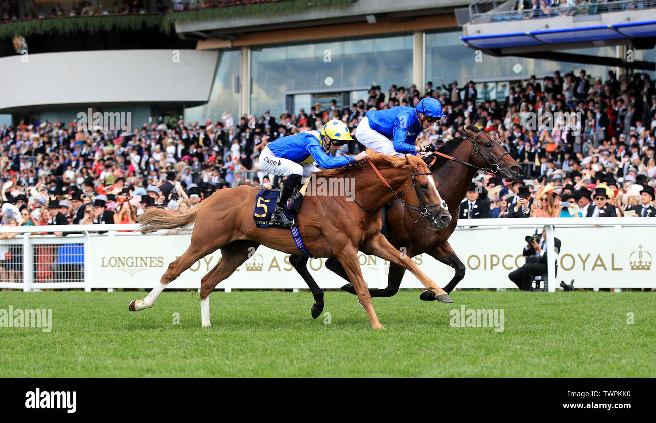 Blue point diamond jubilee stakes hi-res stock photography and images ...