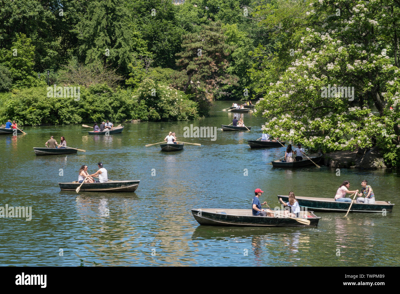 Rowing lake central park hi-res stock photography and images - Alamy