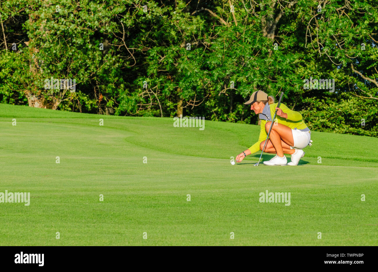 Female golf player checking ball way for a successful putt Stock Photo ...