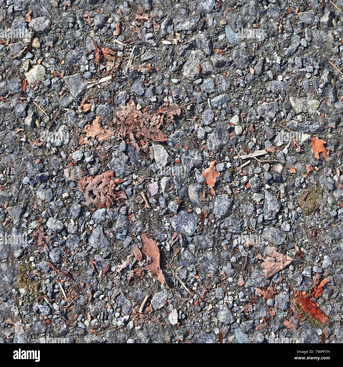 Detailed seamless texture of asphalt on a road in high resolution Stock ...