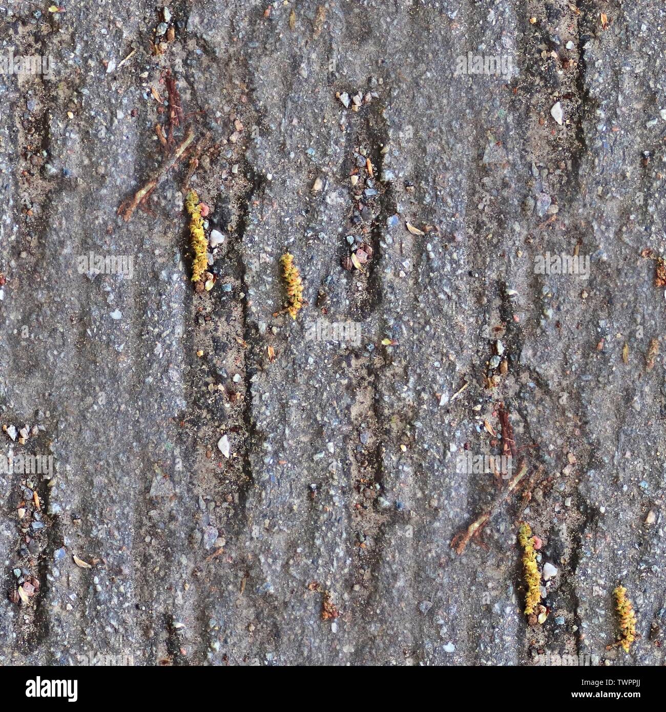 Detailed seamless texture of asphalt on a road in high resolution Stock ...