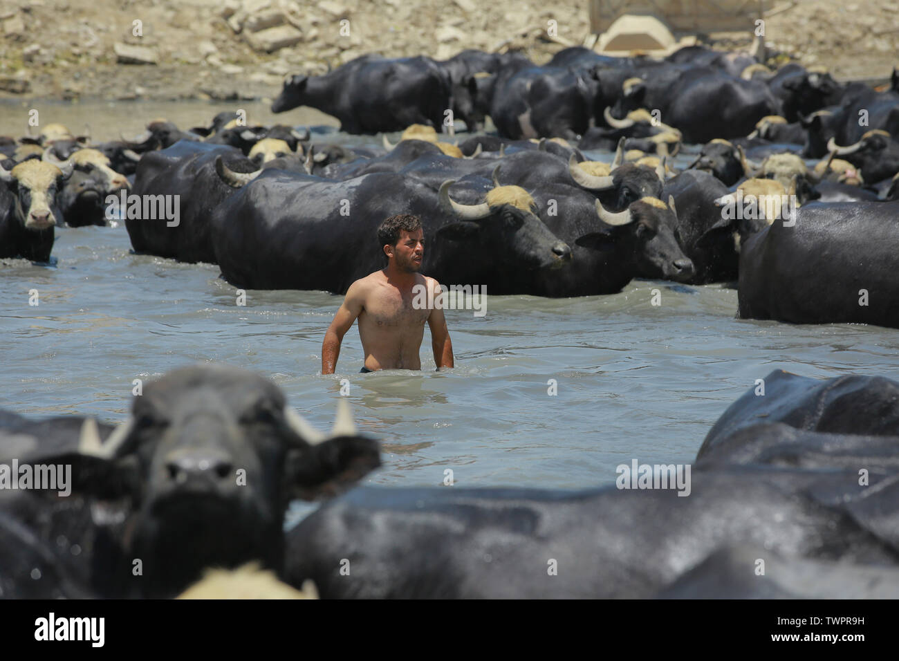 Heat wave in iraq hi-res stock photography and images - Alamy