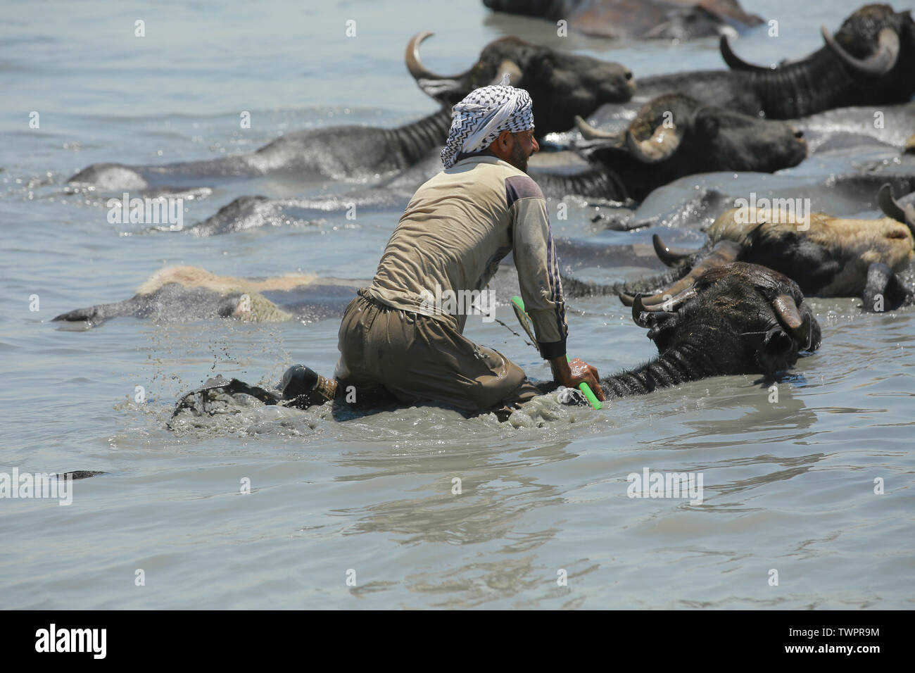 Heat wave in iraq hi-res stock photography and images - Alamy