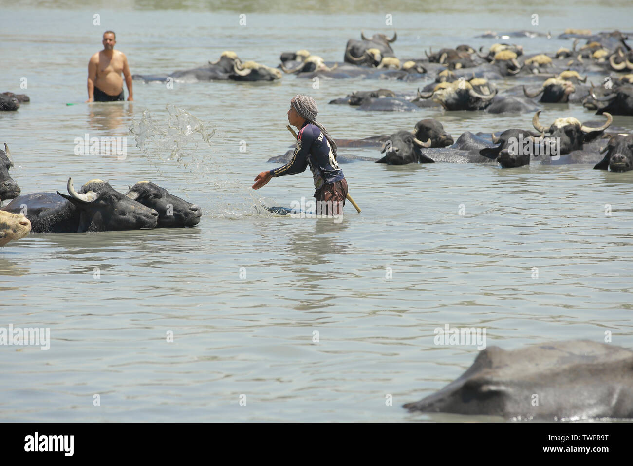 Heat wave in iraq hi-res stock photography and images - Alamy