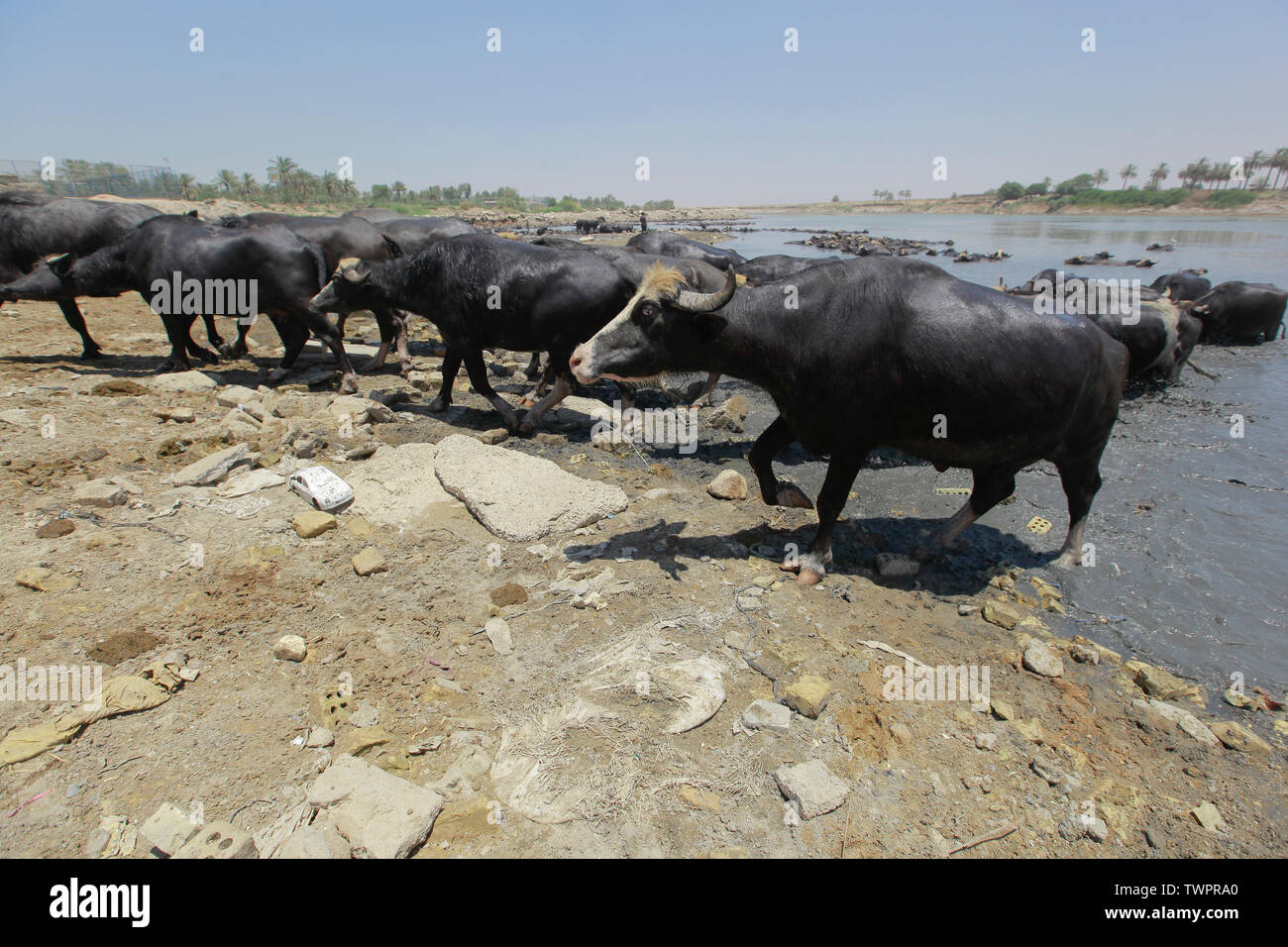 Heat wave in iraq hi-res stock photography and images - Alamy