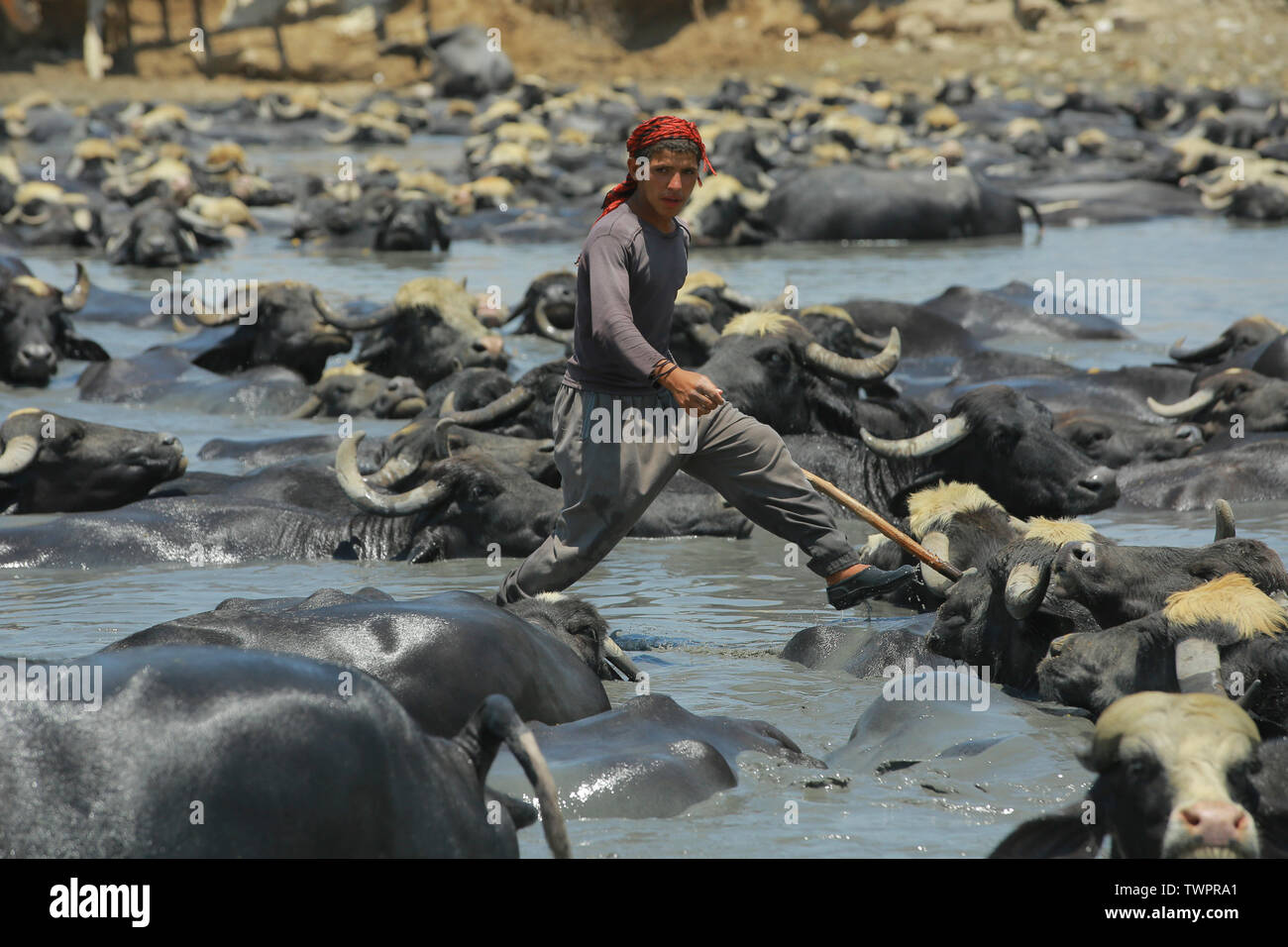 Heat wave in iraq hi-res stock photography and images - Alamy