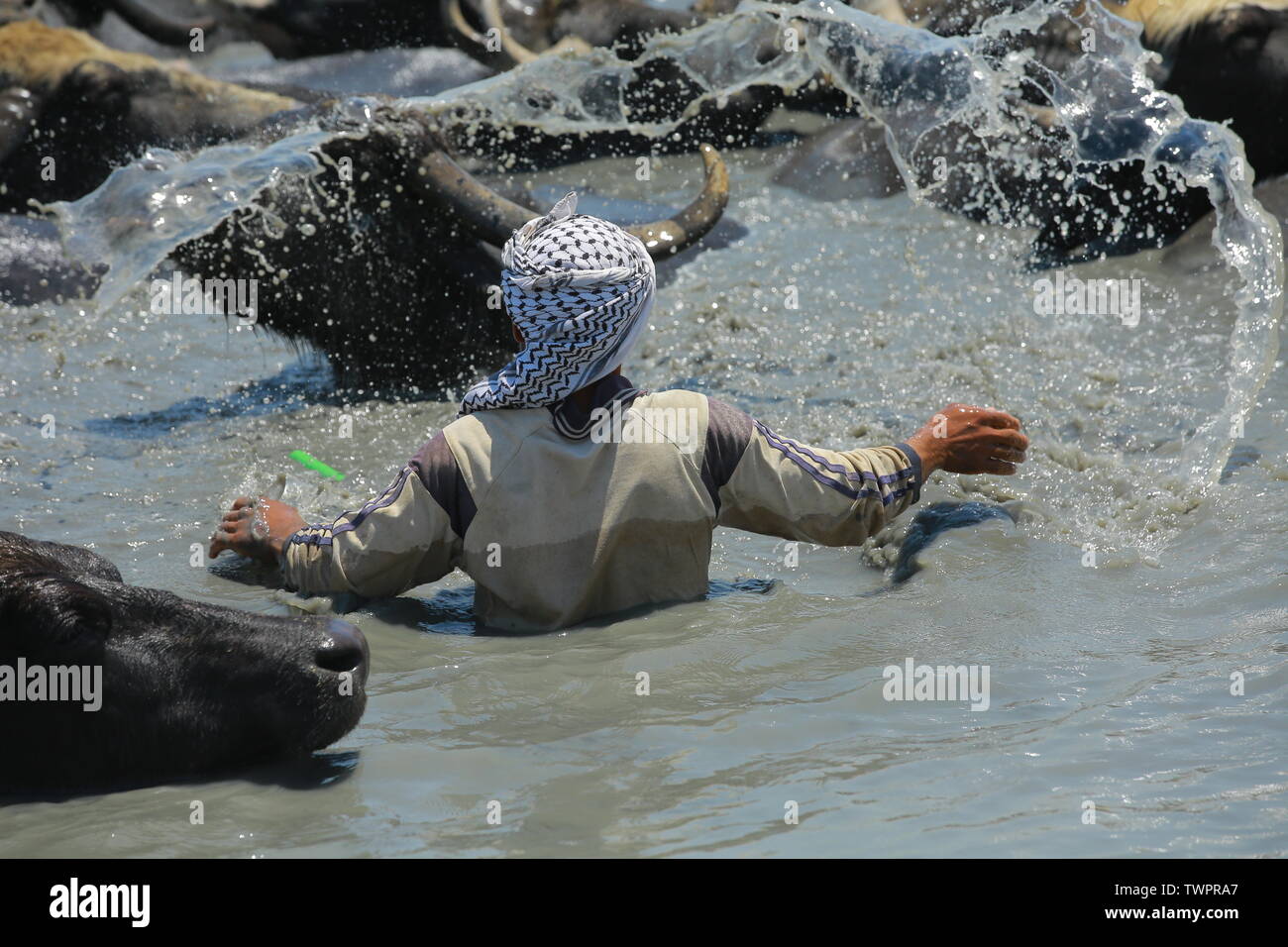 Heat wave in iraq hi-res stock photography and images - Alamy