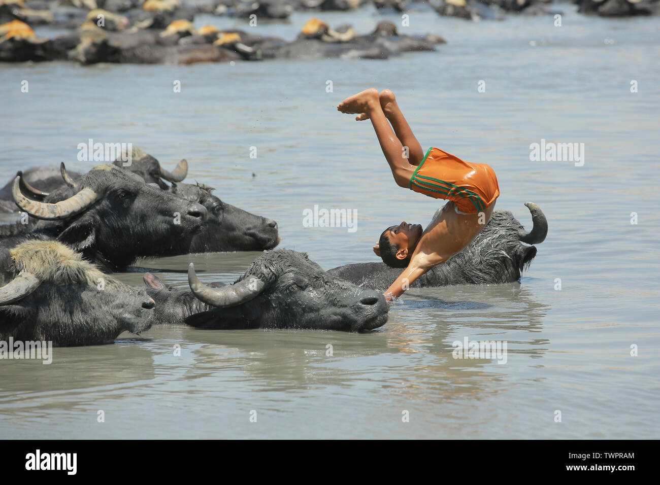 Heat wave in iraq hi-res stock photography and images - Alamy