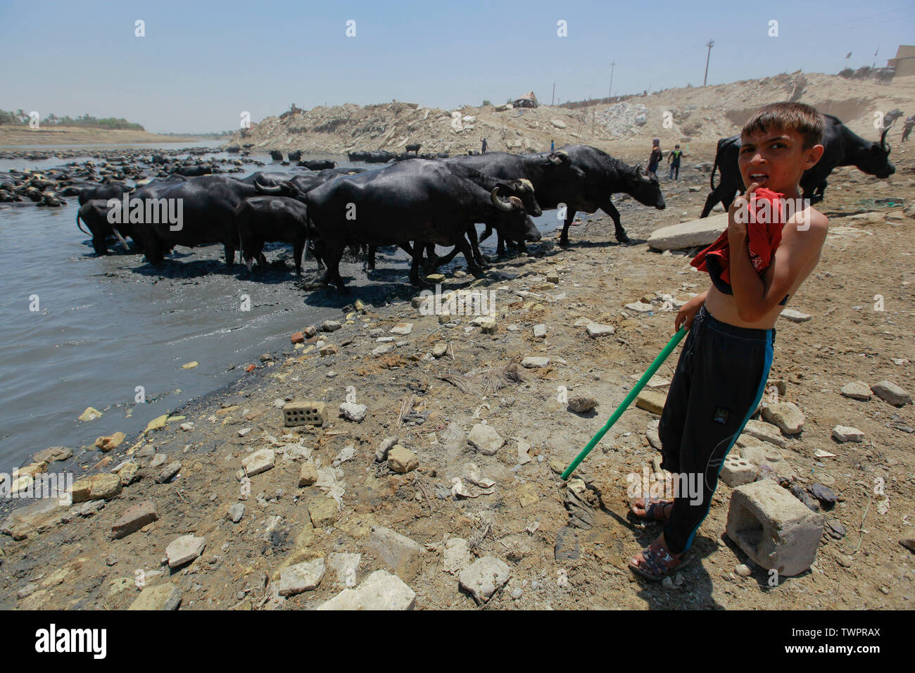 Heat wave in iraq hi-res stock photography and images - Alamy