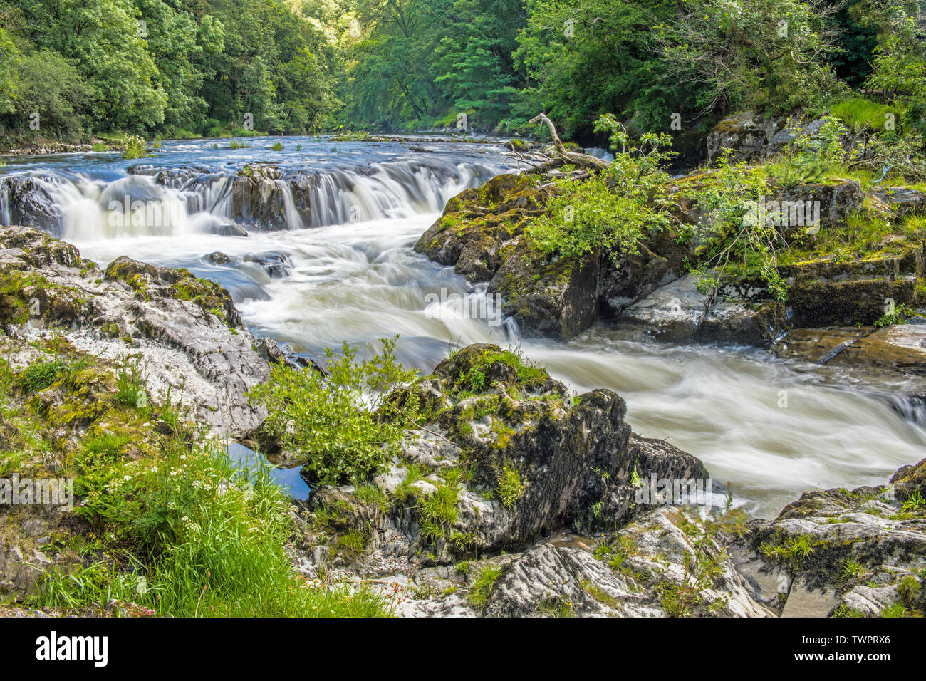 Cenarth falls hi-res stock photography and images - Alamy