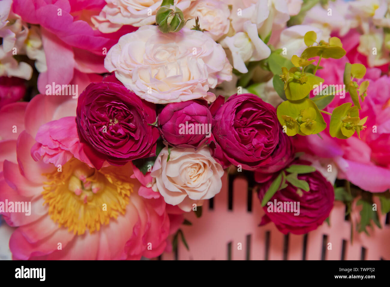 Mixed flower arrangement: various flowers in different shades of red ...