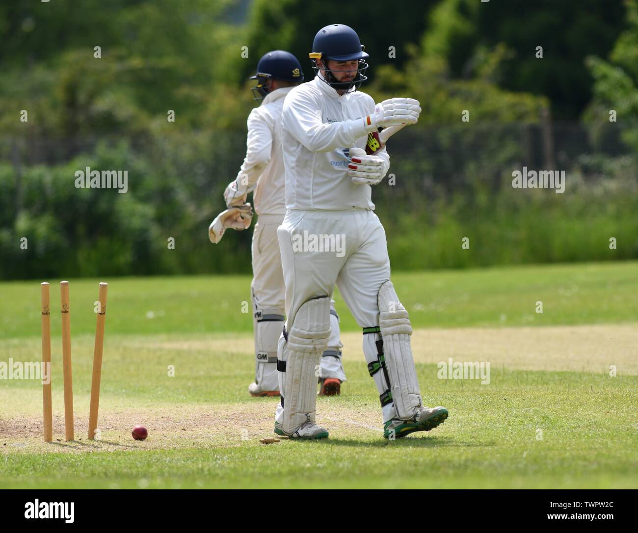 A batsman leaves the wicket after being bowl out Stock Photo - Alamy