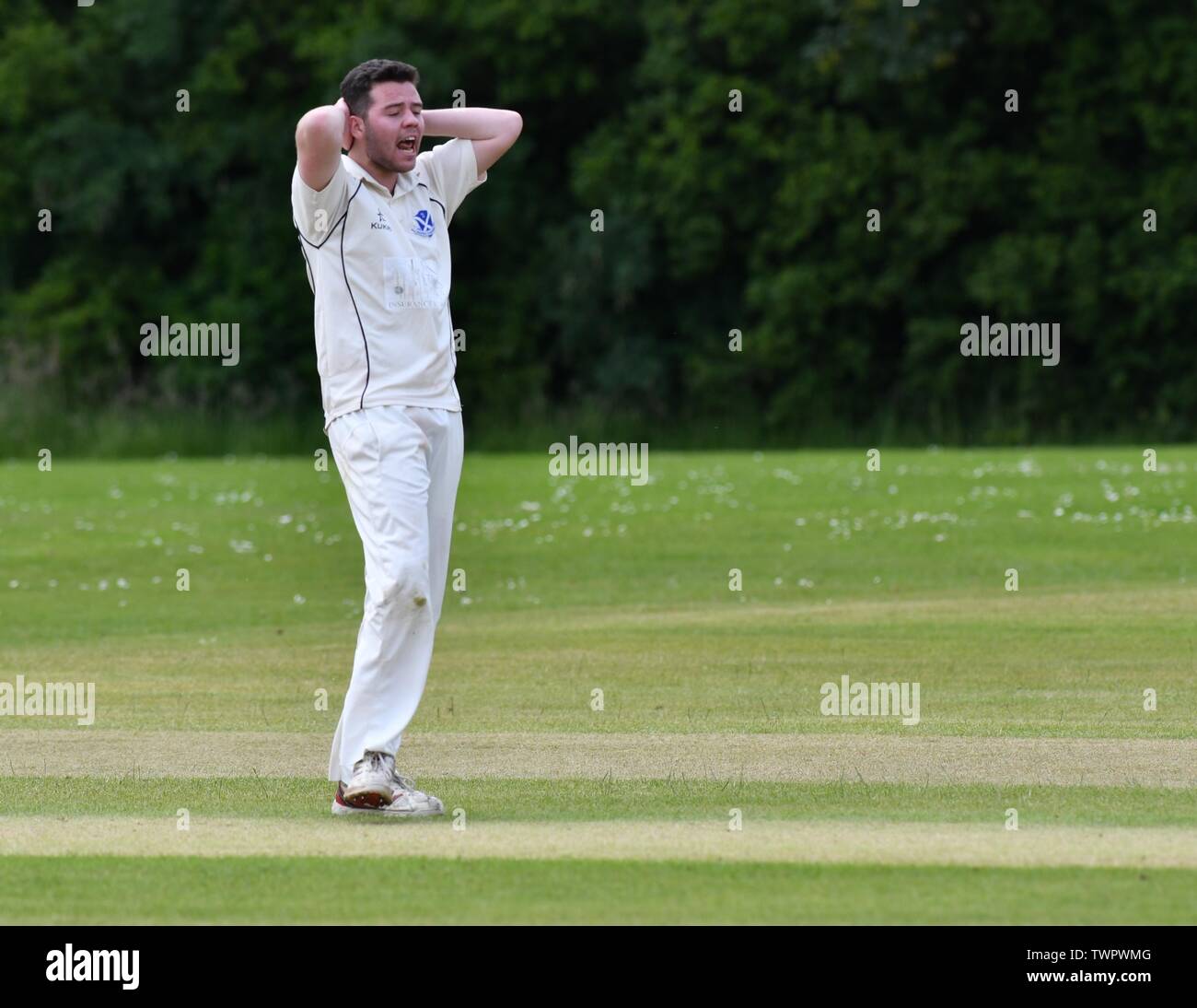 A bowler shows his frustration at nearly taking a wicket Stock Photo ...