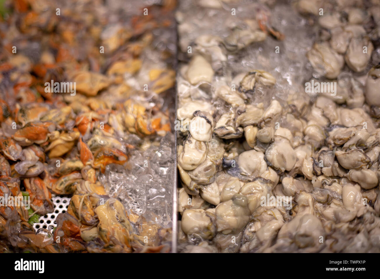 Frozen food display hi-res stock photography and images - Alamy