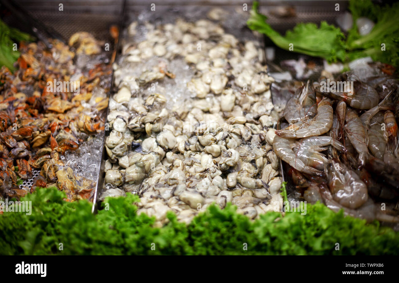 raw shell , mussels and shrimp seafood ingredient on ice Stock Photo ...