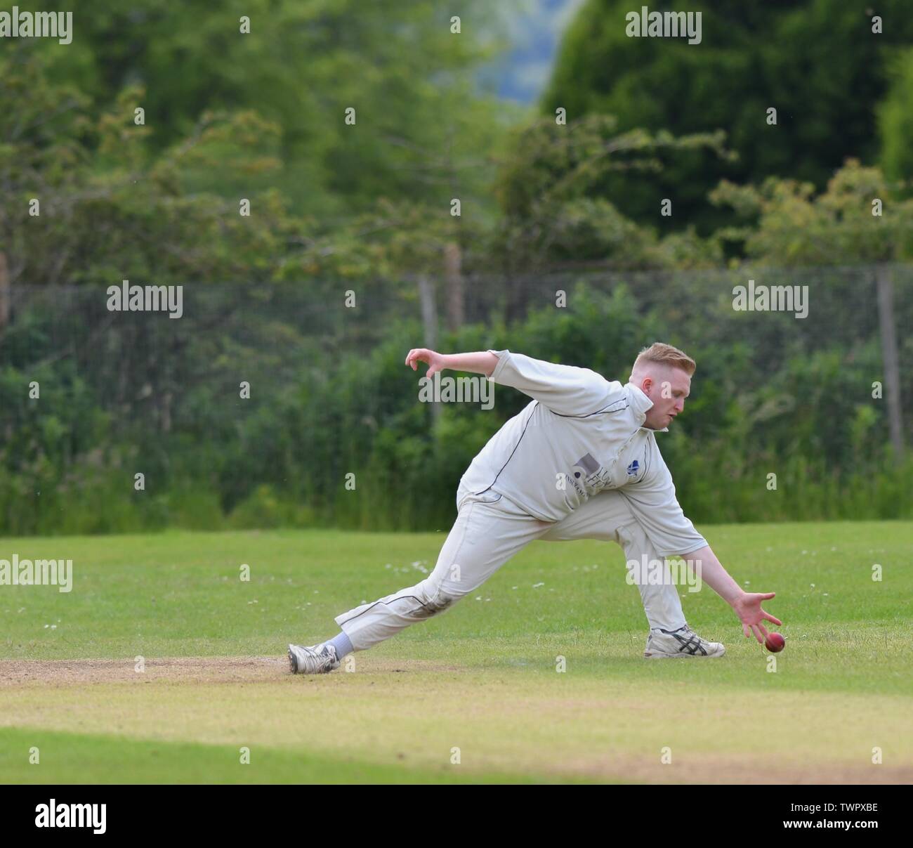 A fielder stops the ball Stock Photo - Alamy