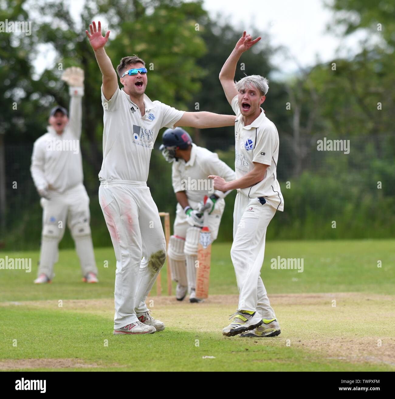 Lbw Appeal High Resolution Stock Photography and Images - Alamy