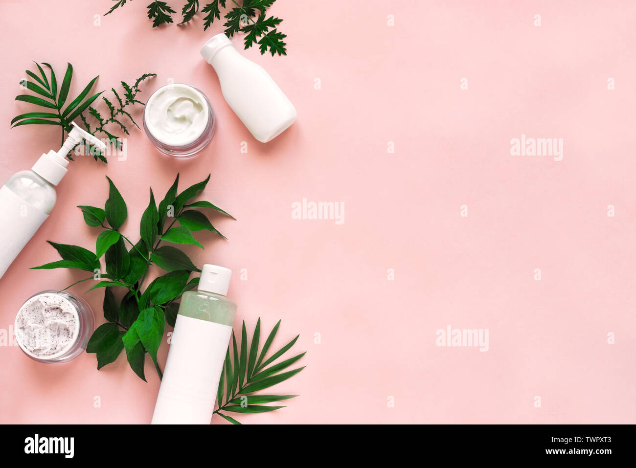 Natural cosmetics and green leaves on pink background, copy space ...