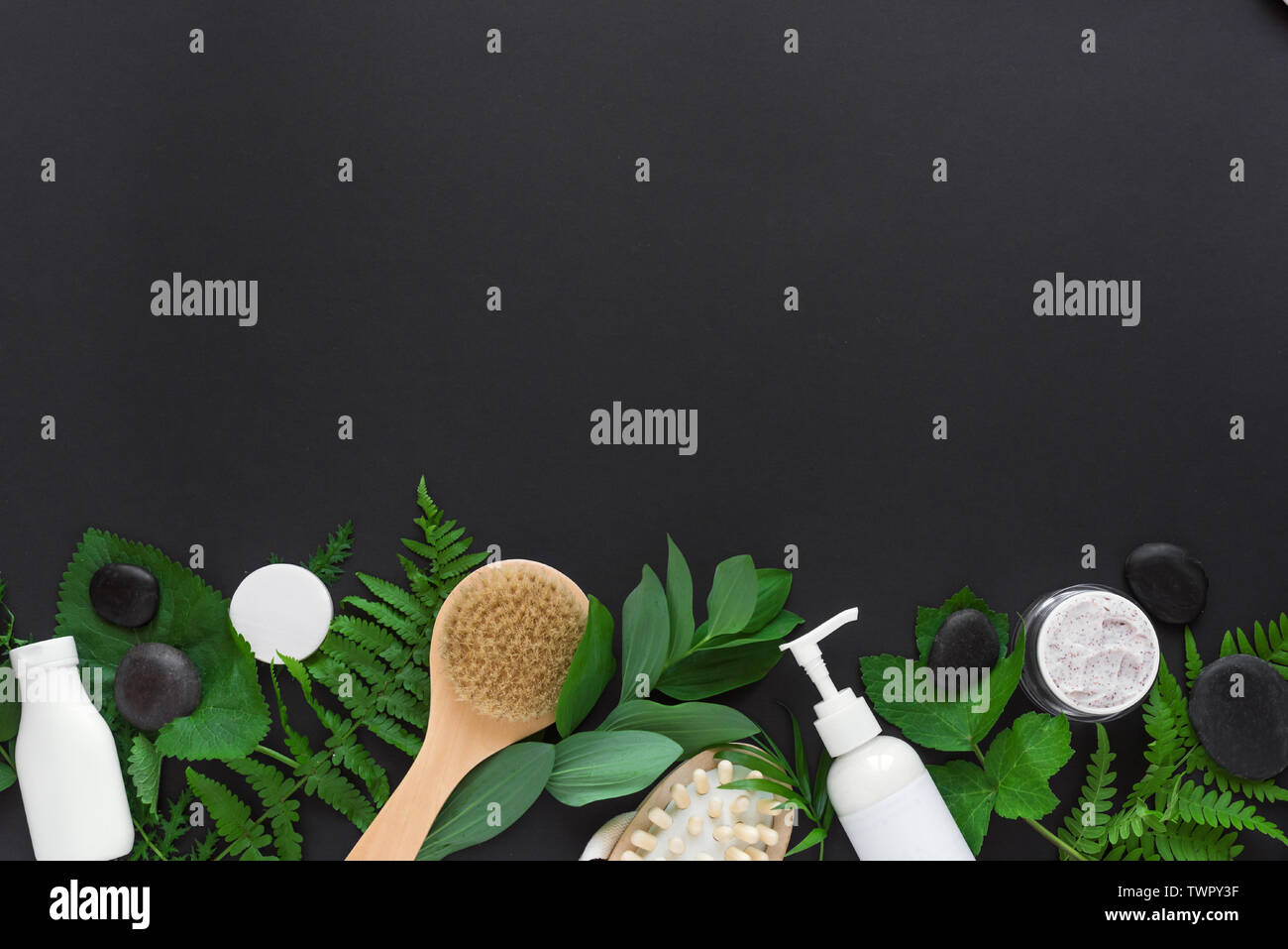 Natural cosmetics and green leaves on black background, copy space ...