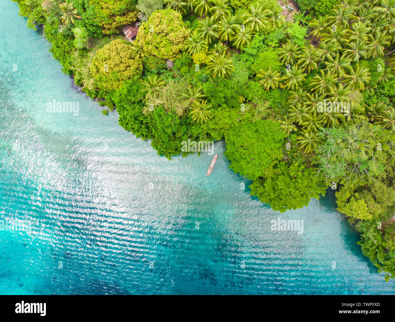 Aerial top down view tropical paradise pristine beach rainforest blue ...