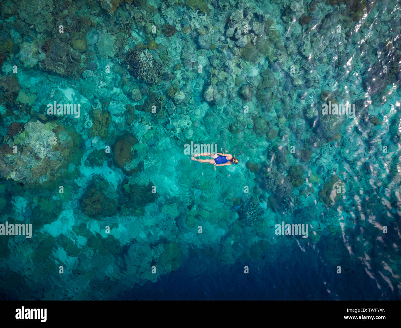 Aerial top down people snorkeling on coral reef tropical caribbean sea ...