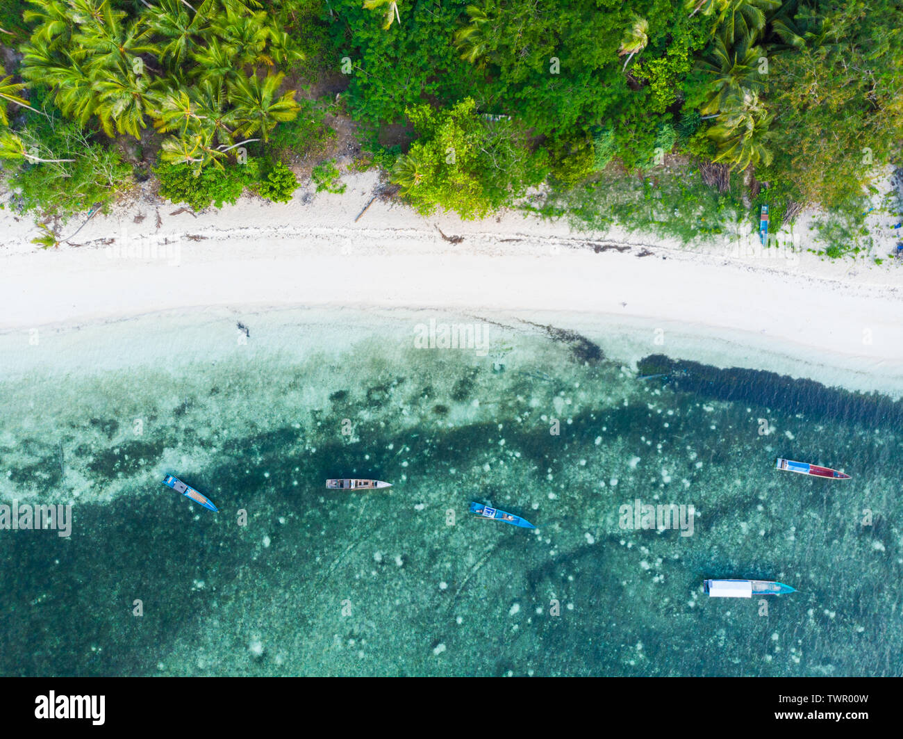 Aerial top down view tropical paradise pristine beach rainforest blue ...