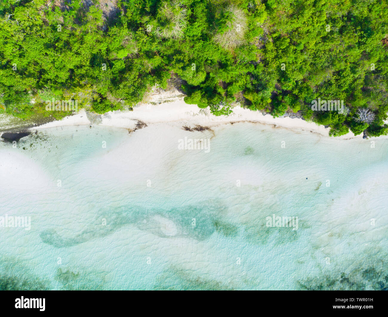 Aerial top down view tropical paradise pristine beach rainforest blue ...
