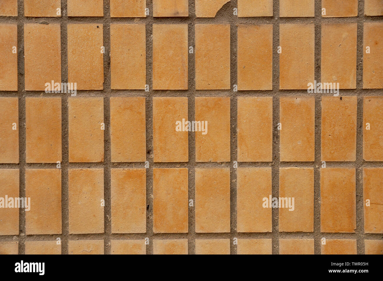 Beige facing tile on a house wall Stock Photo - Alamy